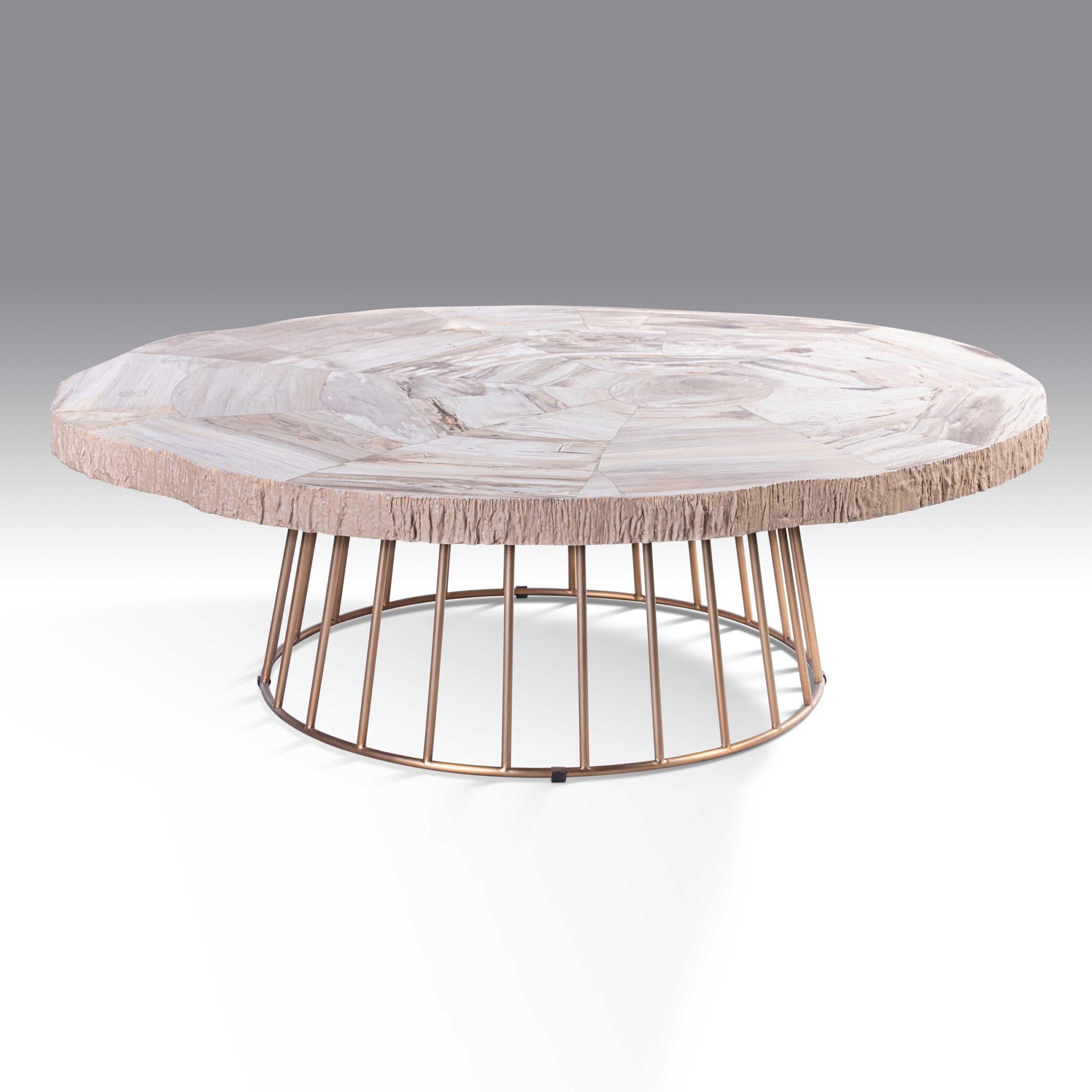 Petrified Wood Levi Coffee Table