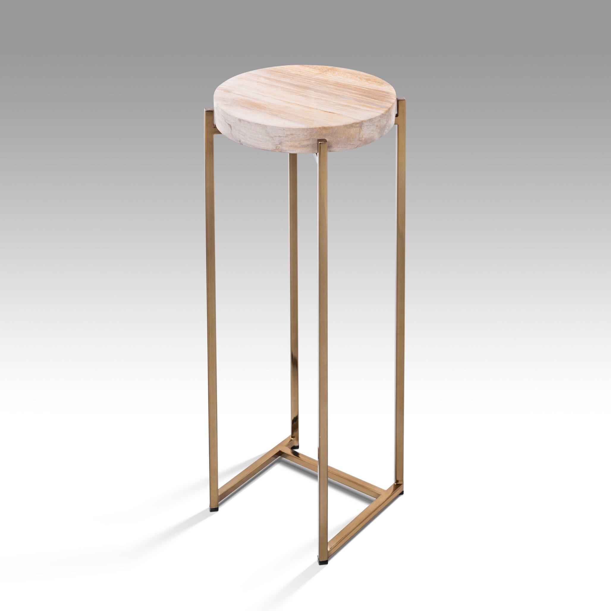 Petrified Wood Nami Side Table